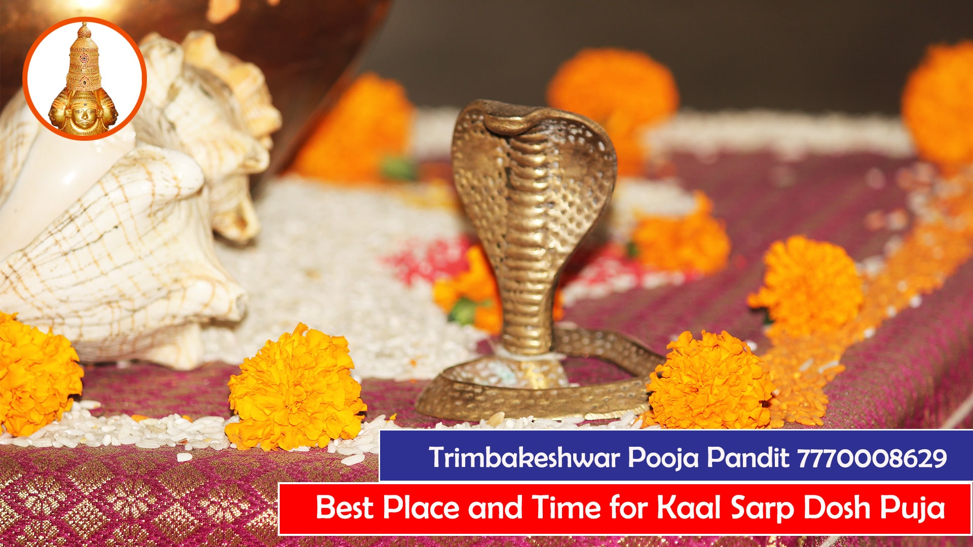 Best Place for Kaal Sarp Dosh Puja | Trimbakeshwar Kalsarp Pooja