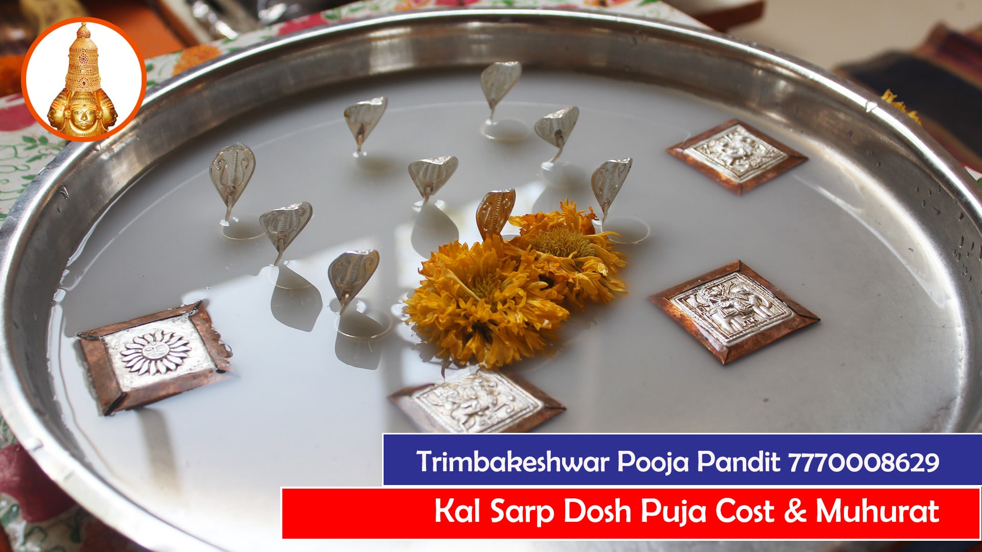 kalsarp pooja in trimbakeshwar | Pitra Dosh Puja in Trimbakeshwar